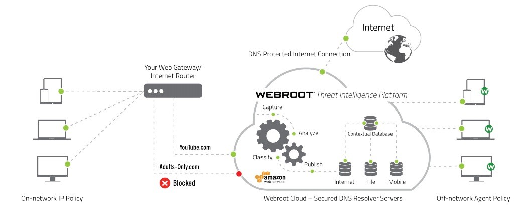 webroot DNS protection - Journal of Cyber Policy